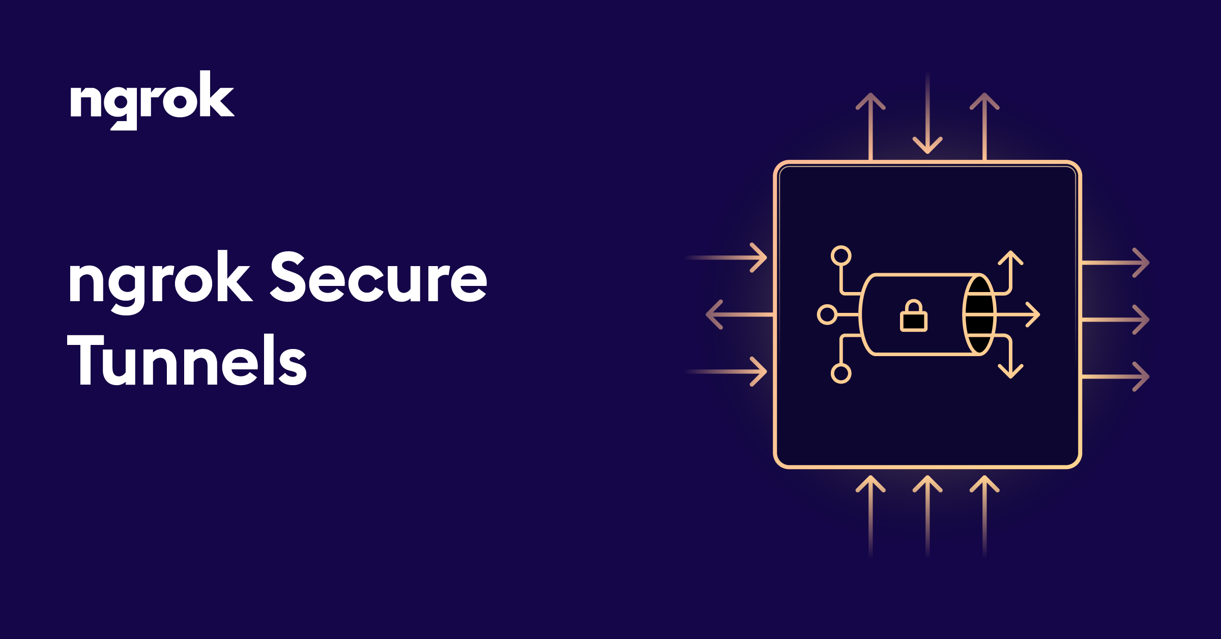 Secure Tunnels For Apis And Apps Reliable Access Ngrok