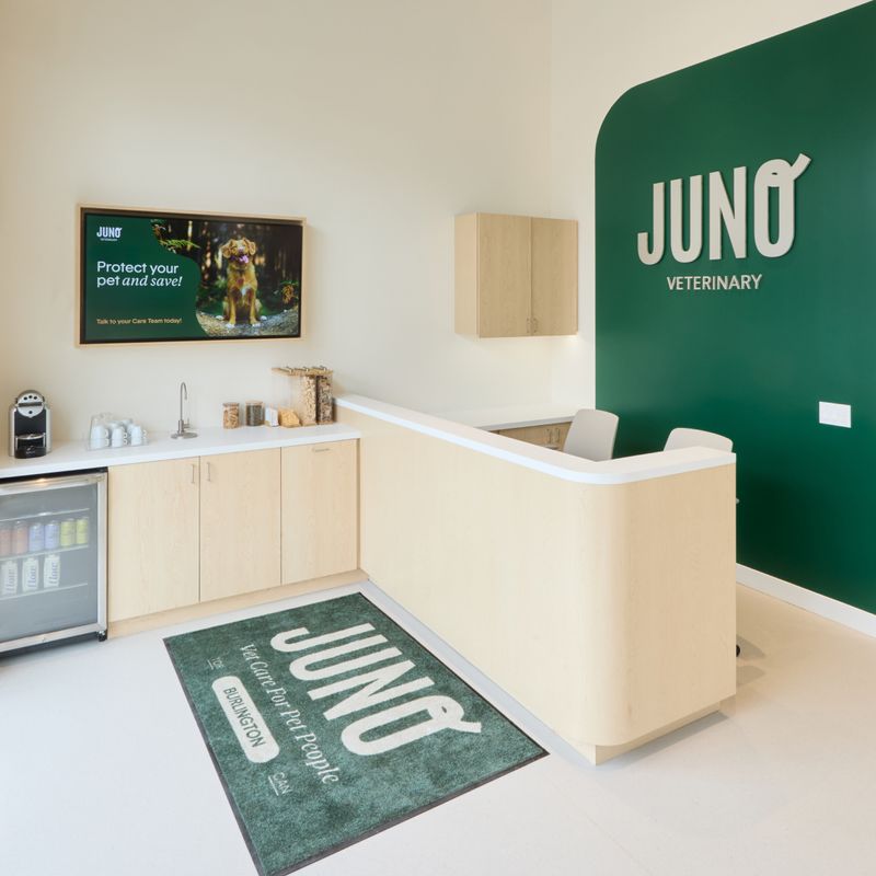 Burlington Vet Clinic | Primary & Urgent Care | Juno Veterinary