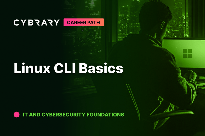 Linux CLI Basics Virtual Lab | Cybrary
