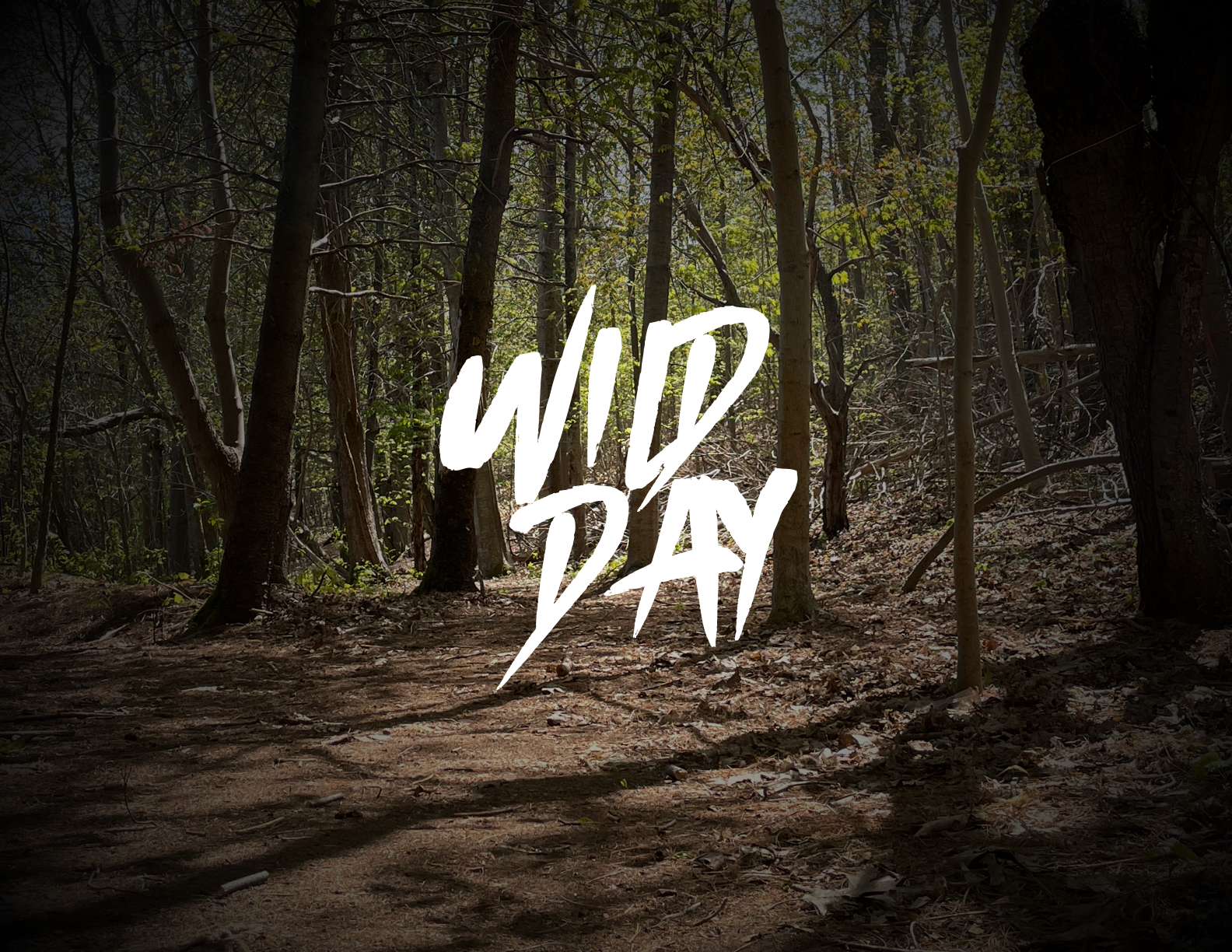 Wild Day: A Nature-Based Field Day Adventure