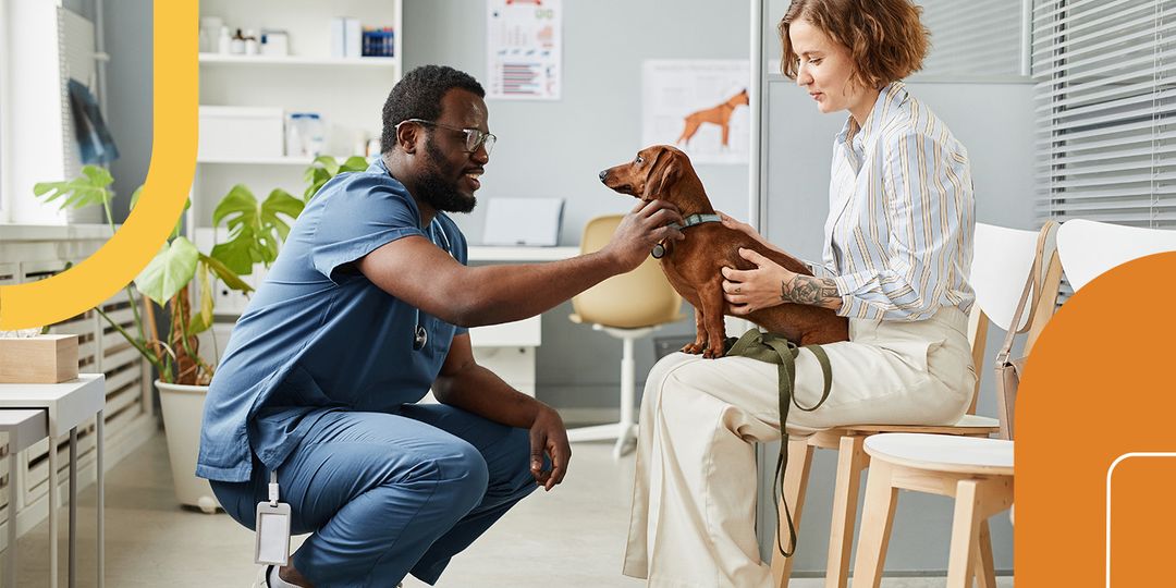 Springpod | On demand work experience