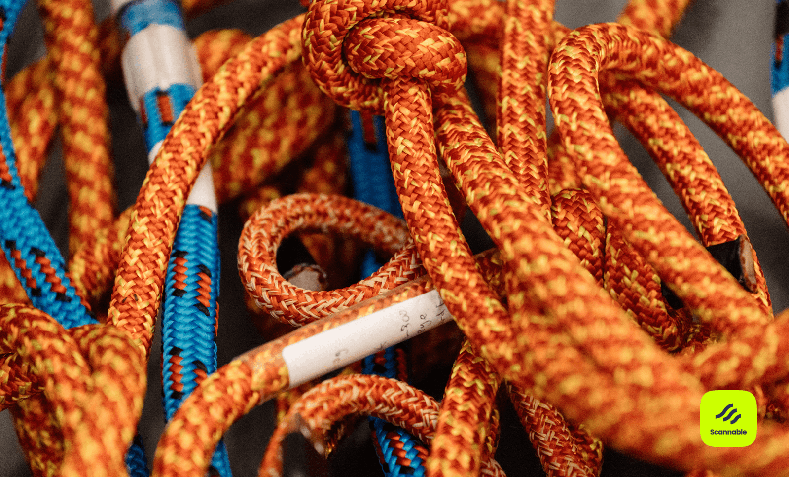 Do you need to label your ropes?