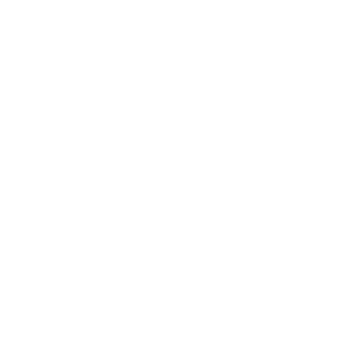 Villars Lodge: A laid-back Swiss Lodge, where casual meets trendy.