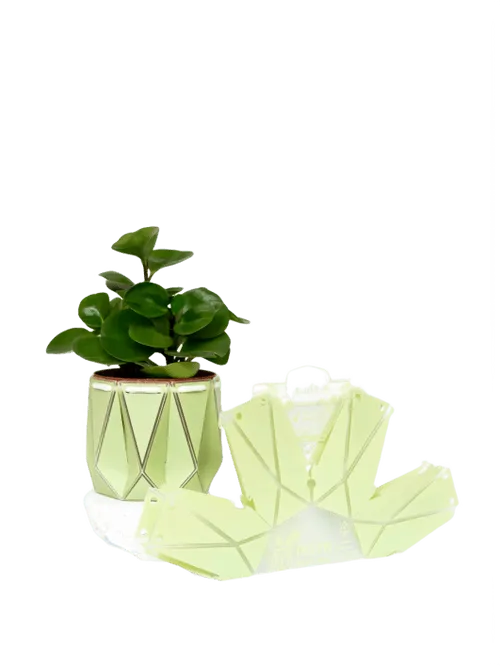 Krado | Sense your plant’s needs with leaflet