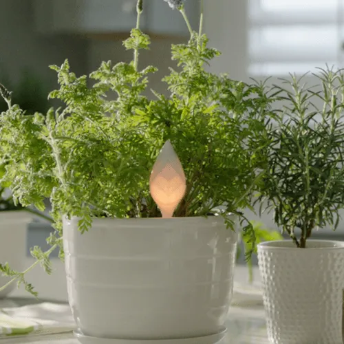 Krado | Sense your plant’s needs with leaflet