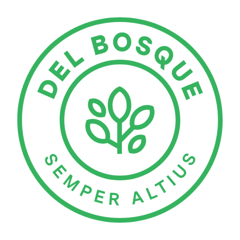 Plan Institucional | Comenio