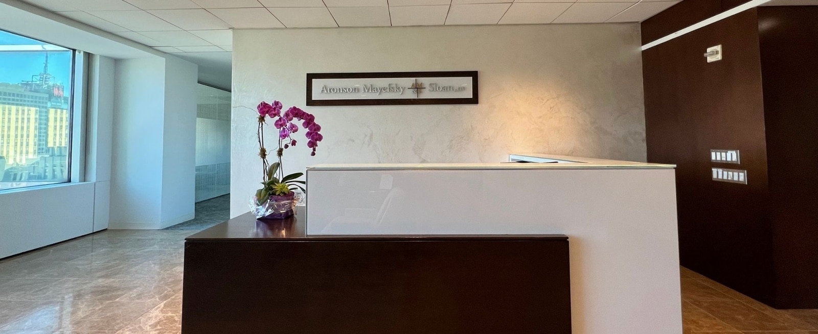Family & Divorce Lawyers New York | Aronson, Mayefsky, and Sloan