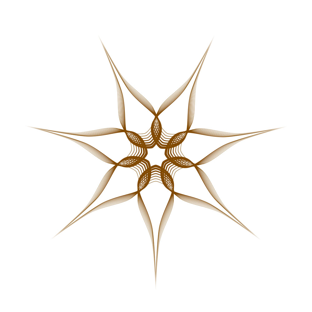 The Center for Unity: Exploring Jesus Before Christianity