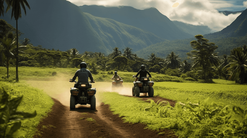 How to Start an ATV Rental Business in 2024: Complete Guide | Peek Pro