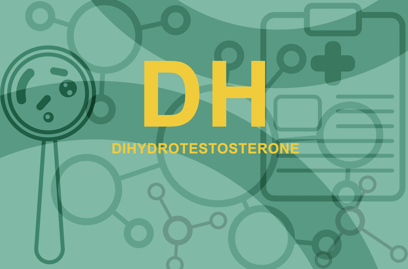 Was ist Dihydrotestosteron? Alles, was Sie wissen müssen