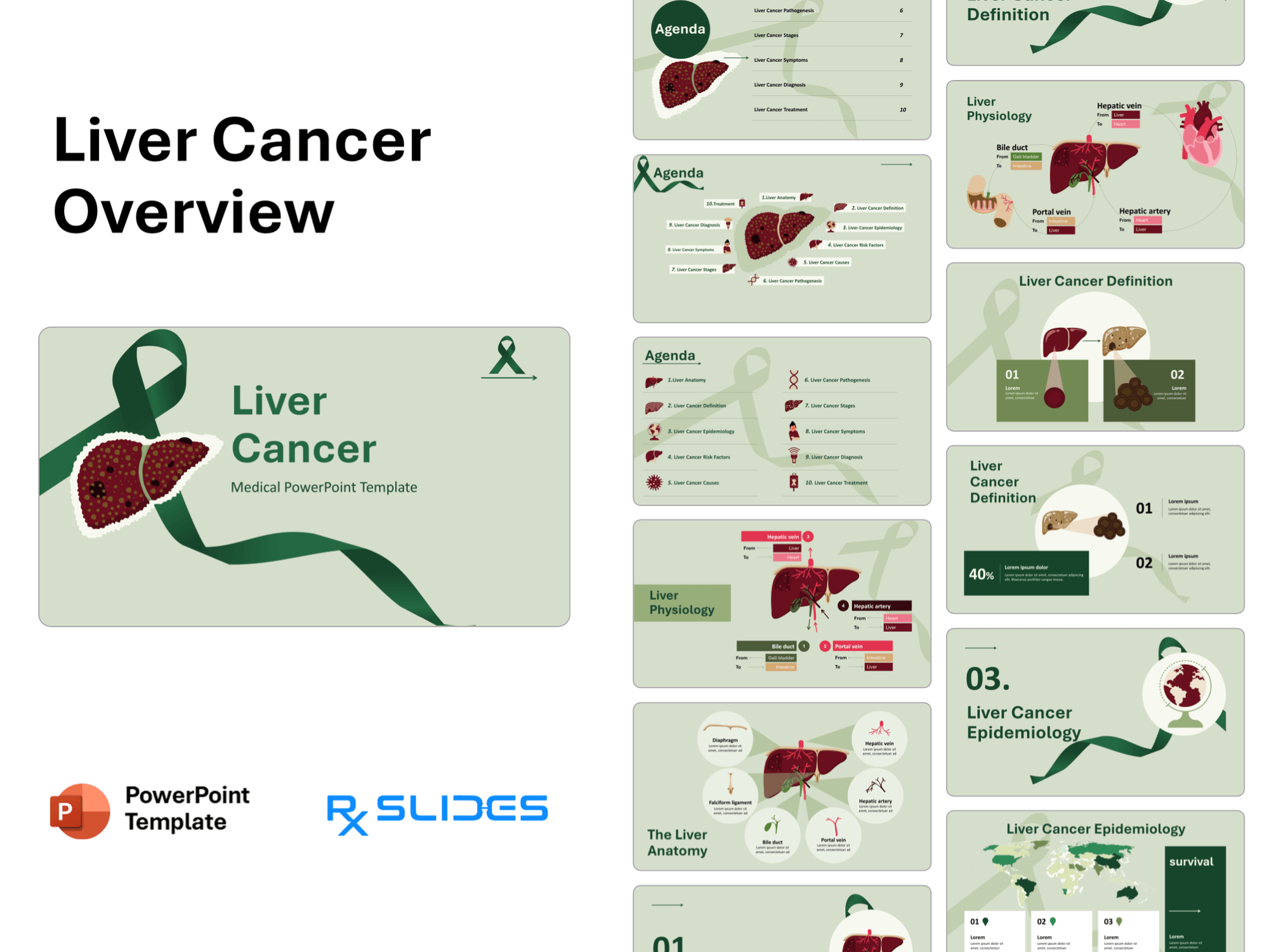 Download Melanoma PowerPoint Template|RxSlides
