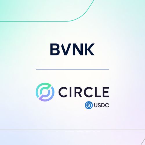 BVNK Blog
