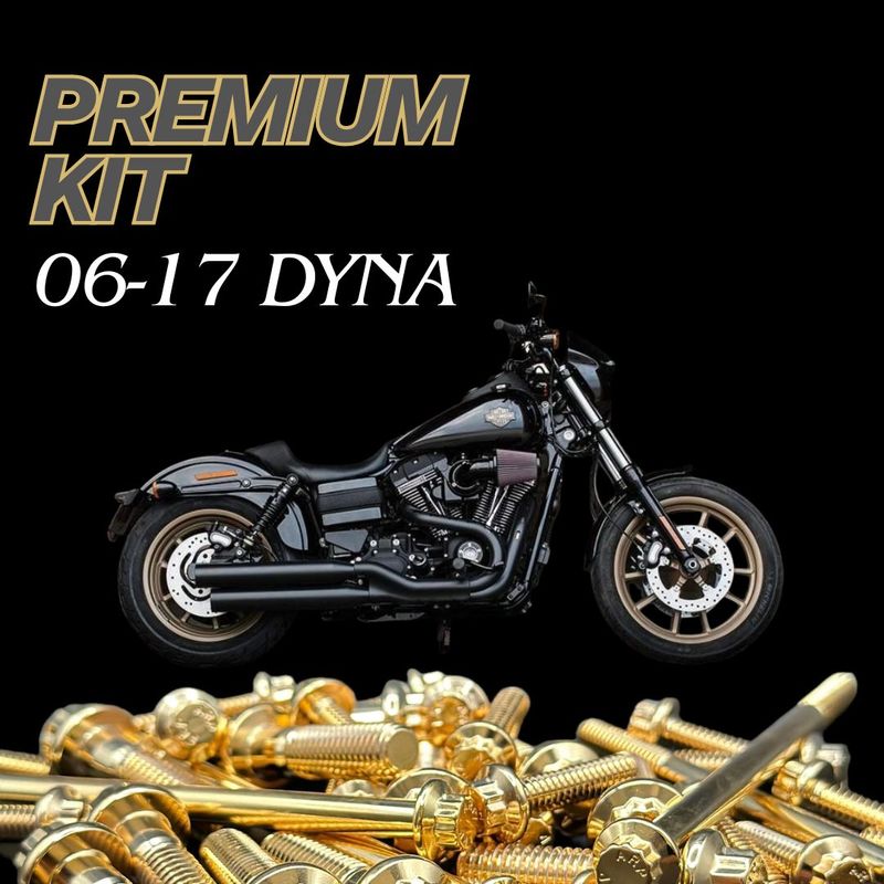 06-17 Dyna Premium Kit