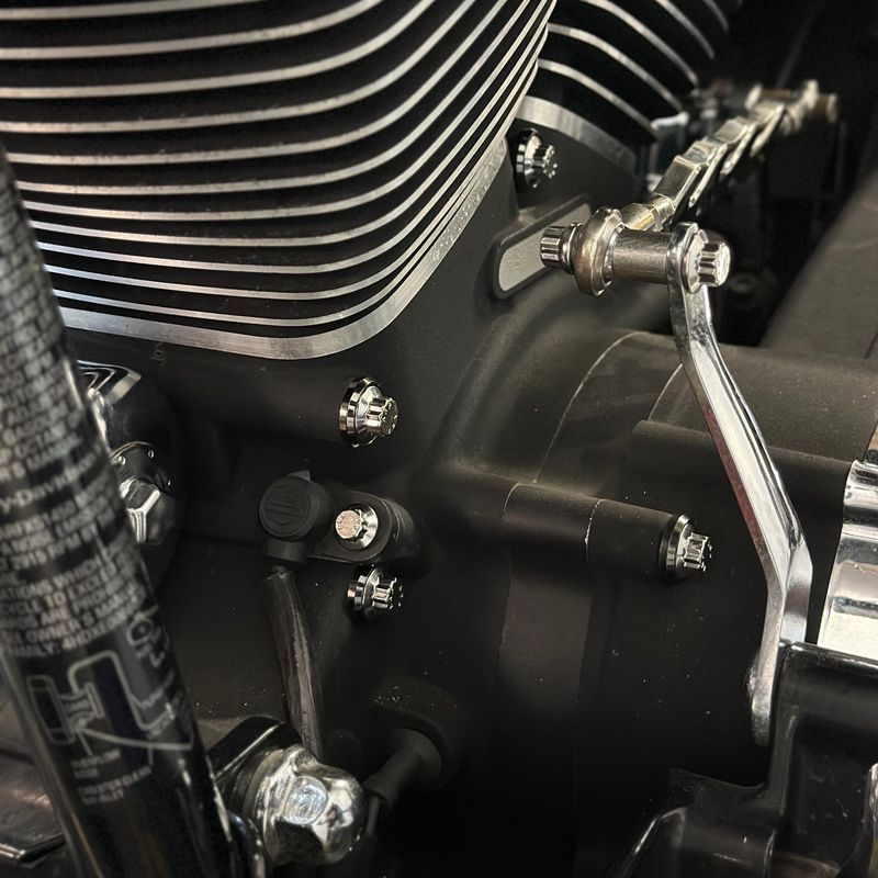 Twin Cam Case Bolts