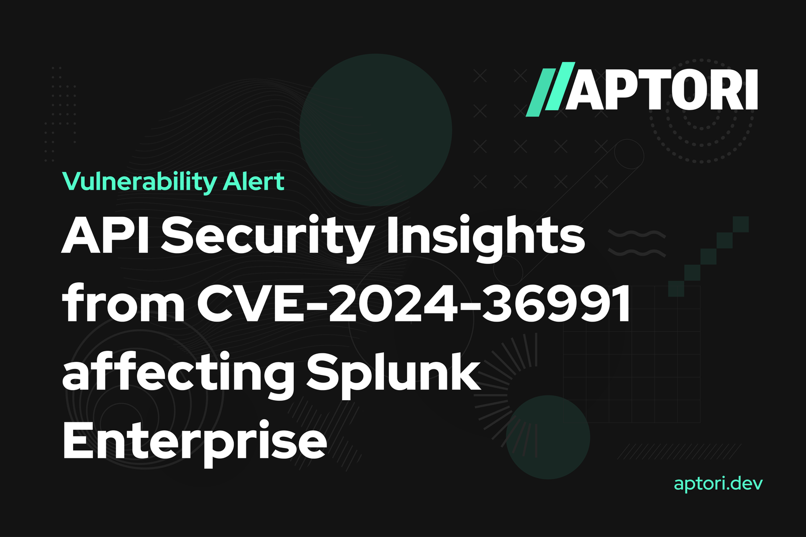 API Security Insights from CVE-2024-36991 affecting Splunk Enterprise