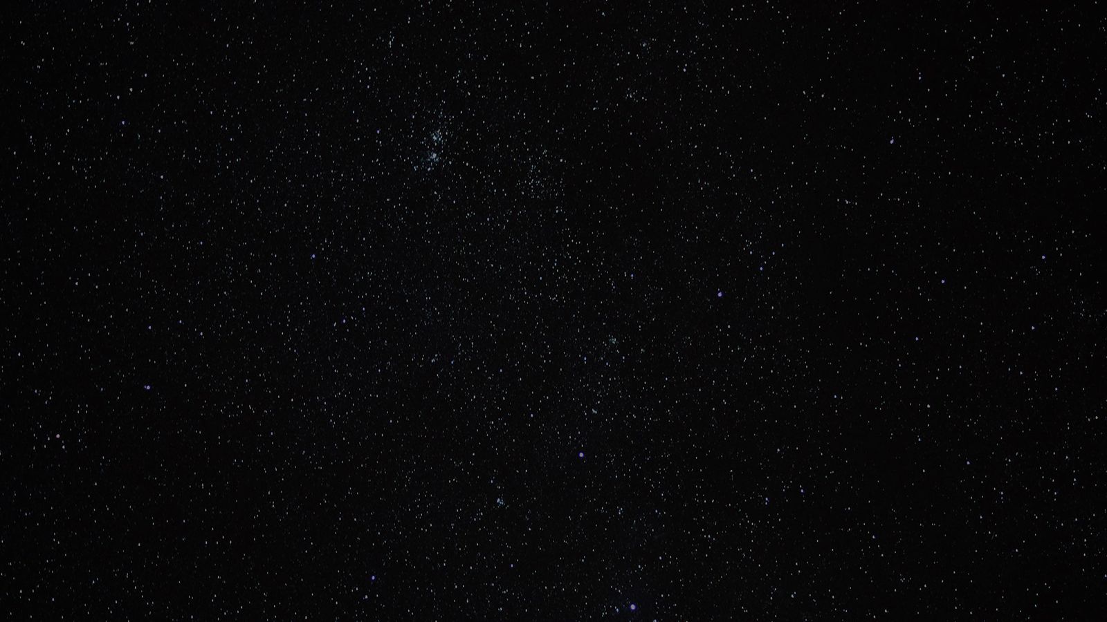 Ephemera - Restaurants immersifs à découvrir