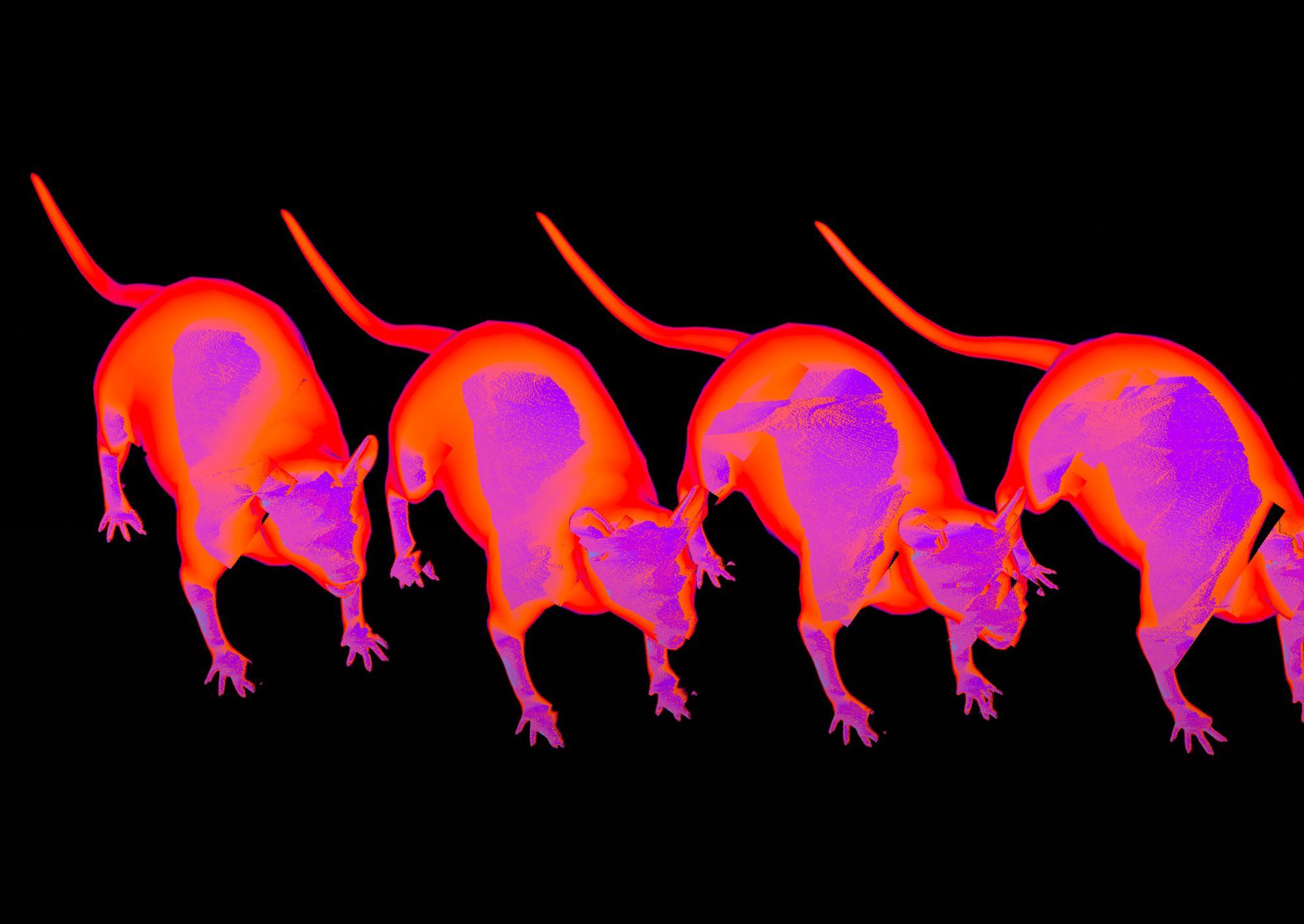 Research with AI: Animal Detection Using Machine Learning