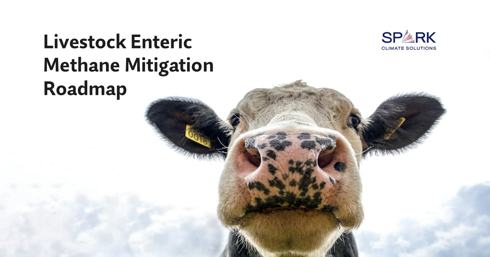 Charting a Path to Cut the Largest Source of Methane from Human ...