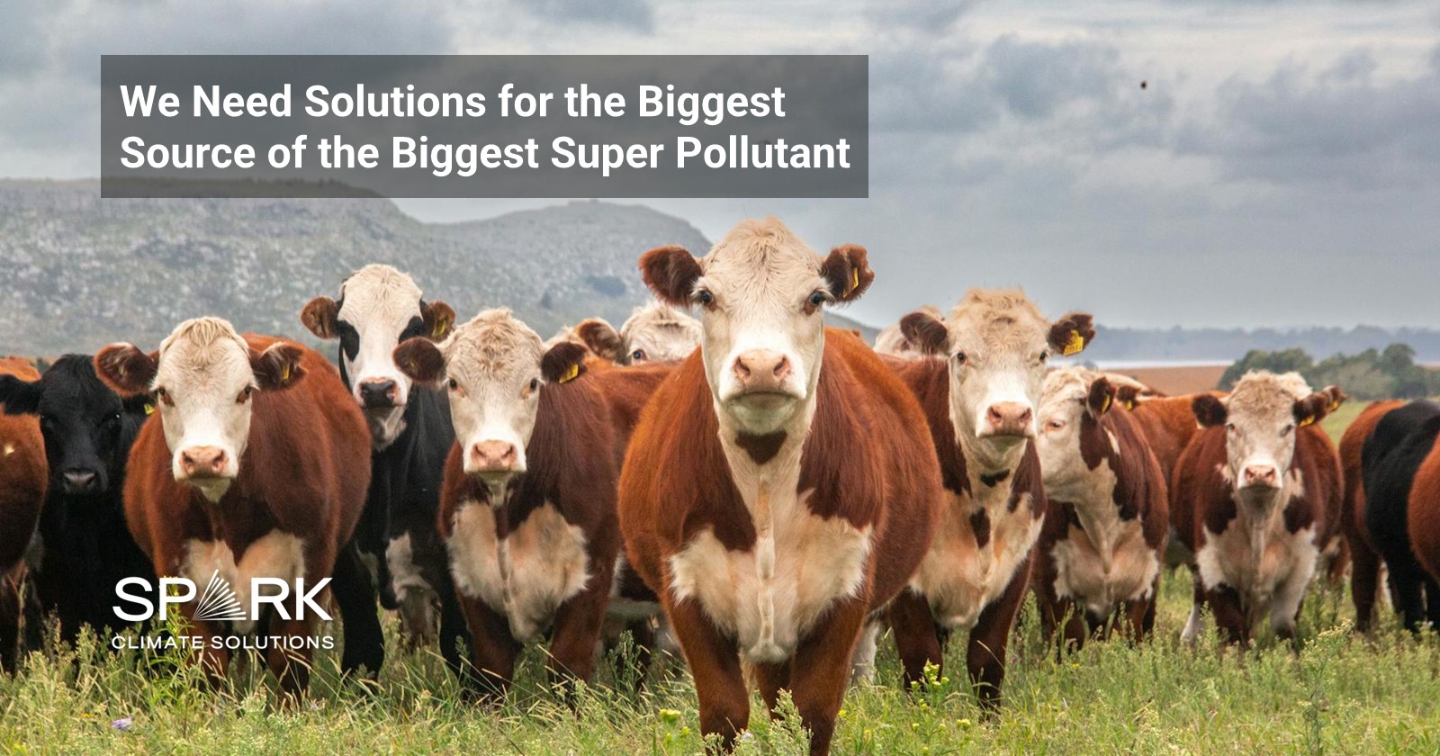 We Need Solutions for the Biggest Source of the Biggest Super Pollutant ...