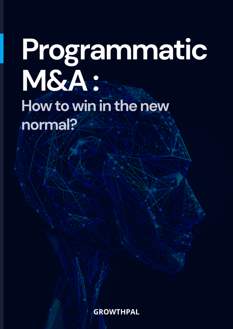 Programmatic M&A Strategy to Scale Growth 3X | GrowthPal