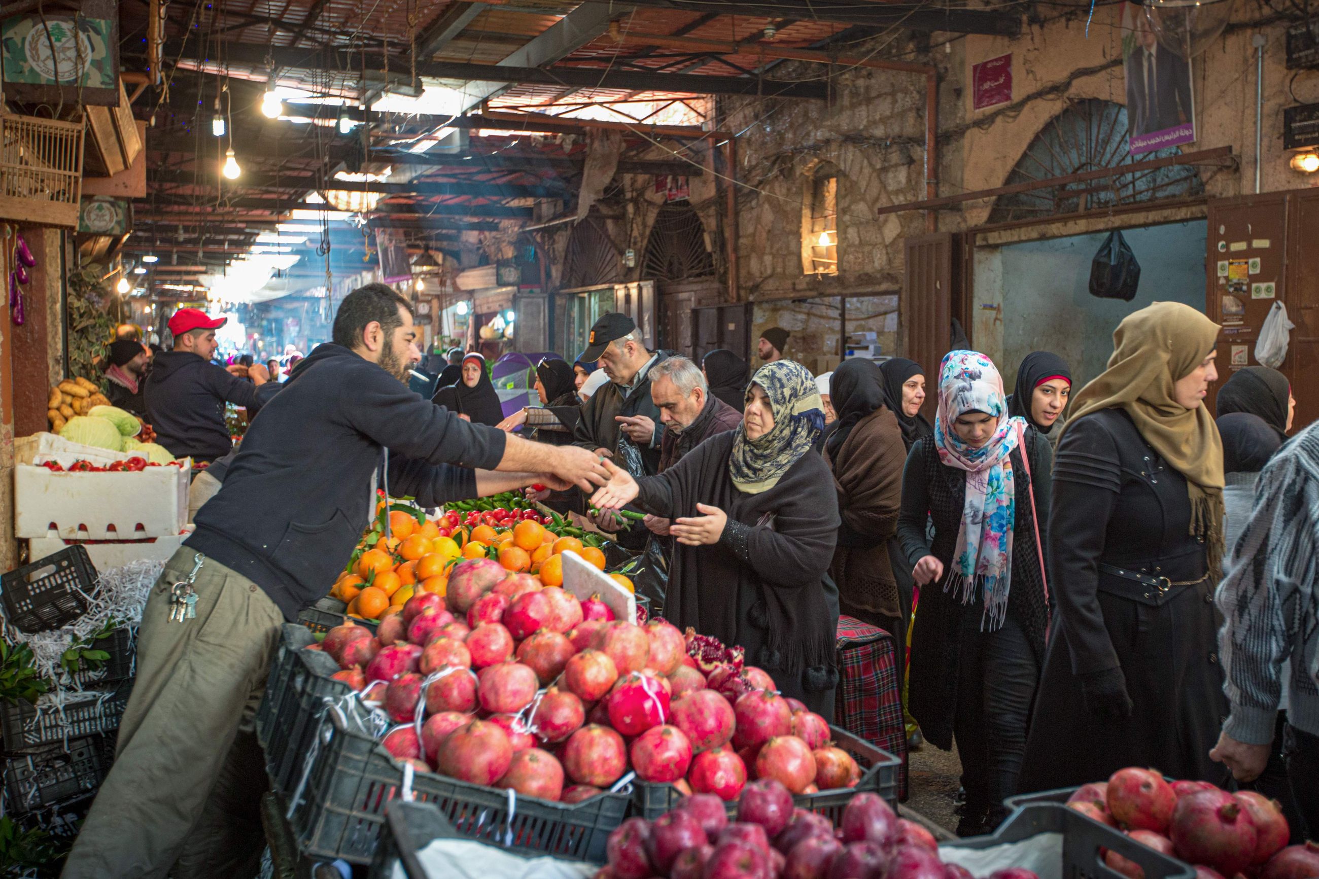 Data to Policy Navigator