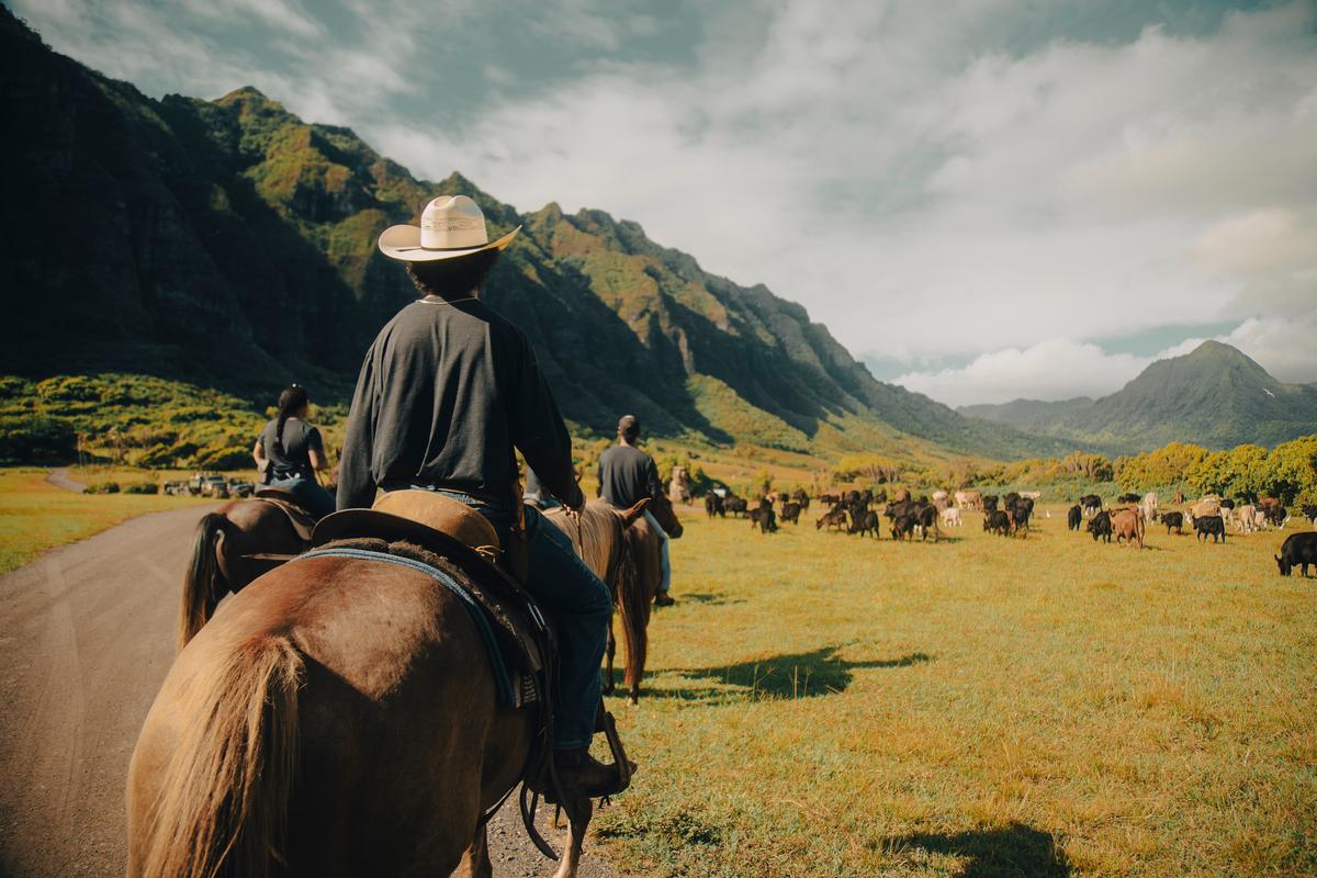 Horseback Riding Tour | Kualoa Ranch