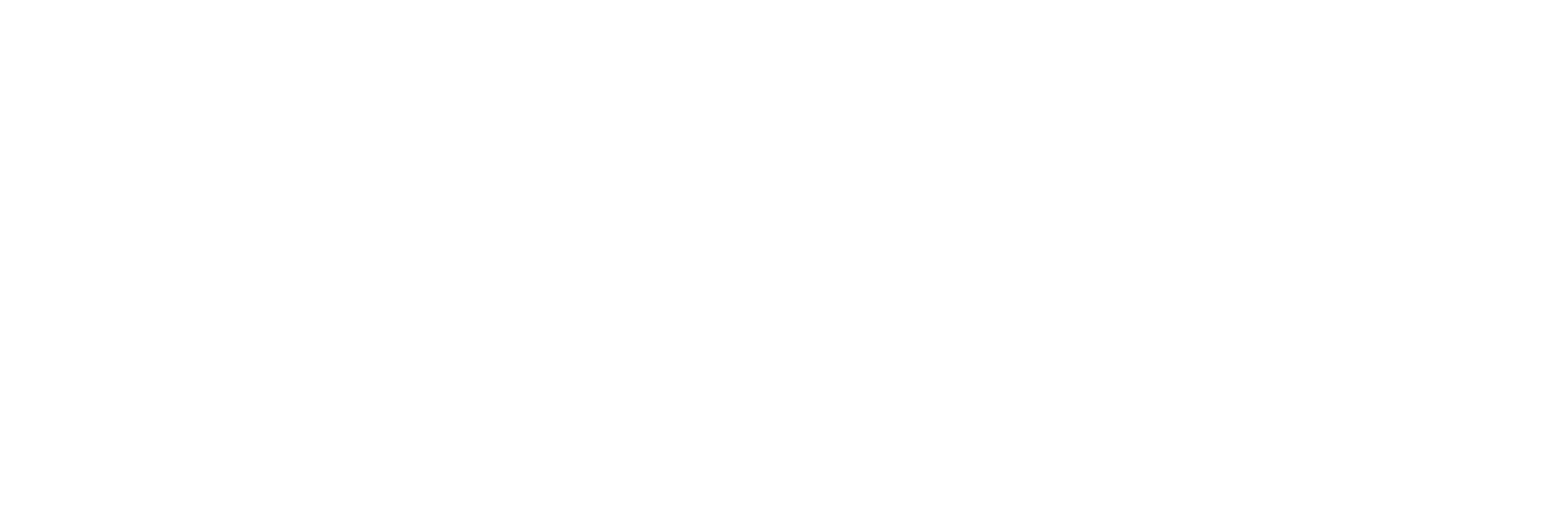 Primo · The all-in-one IT Platform for modern companies