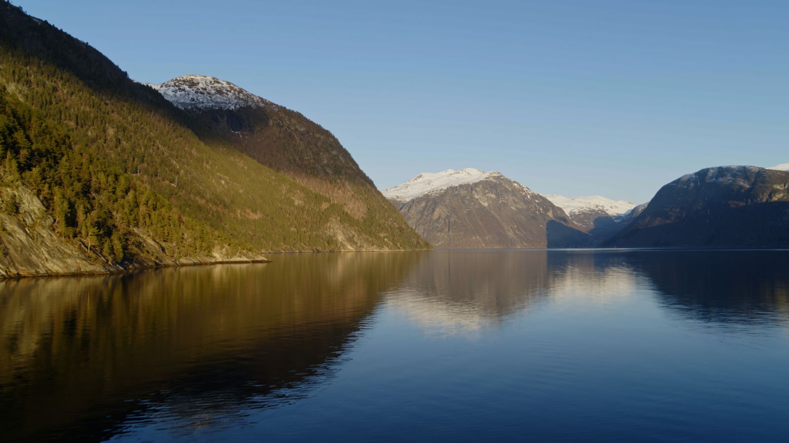 Hofseth — About Us