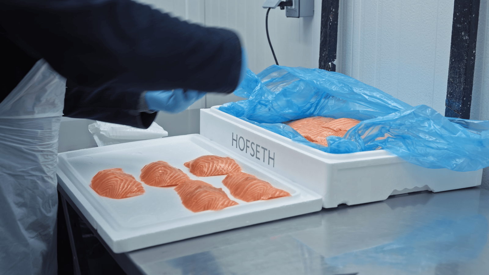 Hofseth — What we do