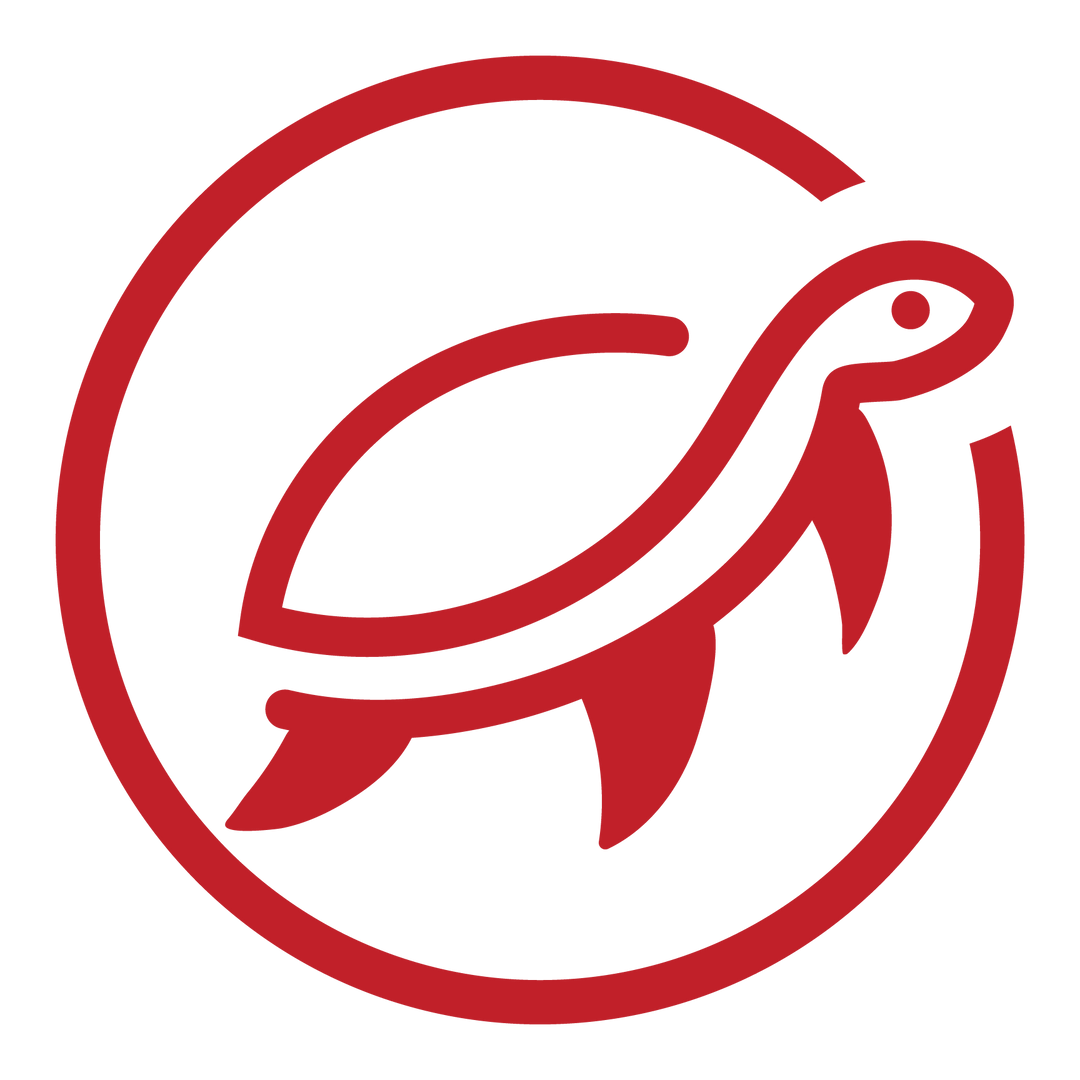 Black Hills IP Support