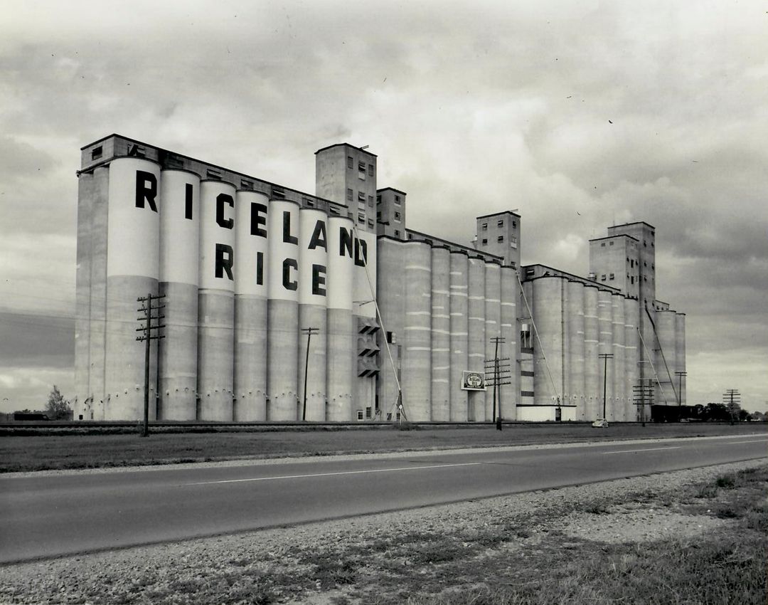 A Legacy of Leadership: How Riceland’s Rich History Shapes the Future ...