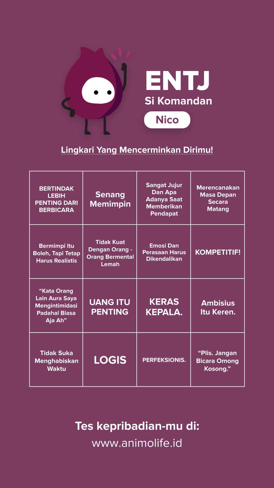 Kepribadian MBTI ENTJ (Si Komandan) - Animo Life