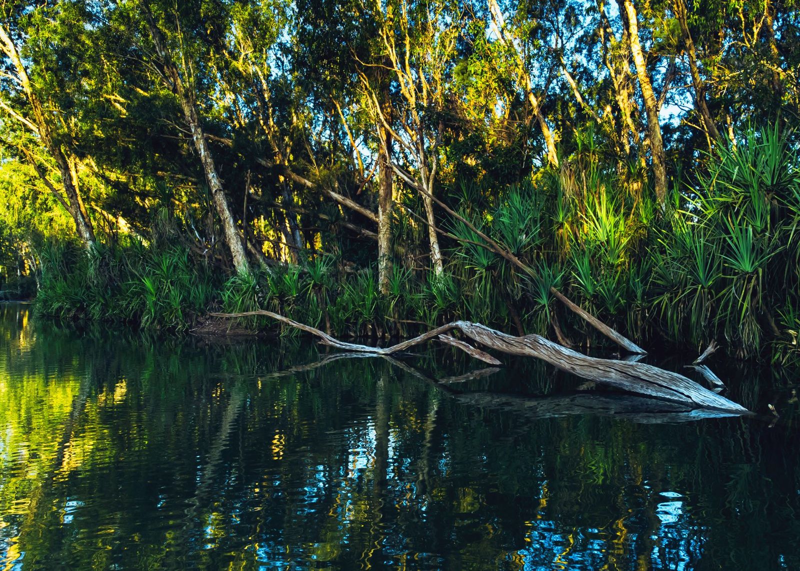 Roper Bar Park & Store | Ngukurr & Urapunga Accommodation NT