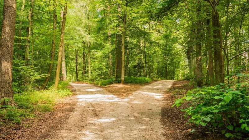 Tout savoir sur les impasses - Ornikar