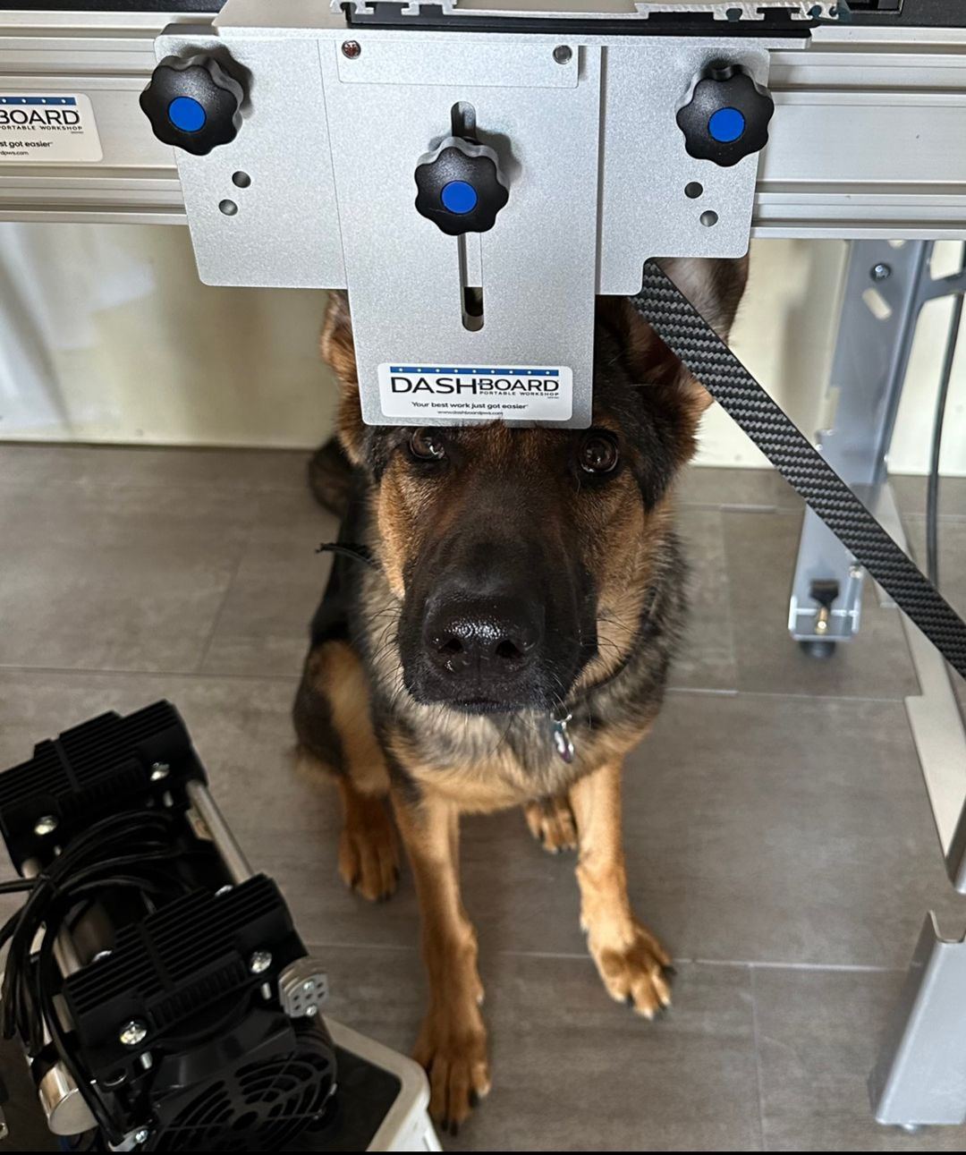 Top Portable Workbench: Lightweight, Durable & Built for Any Project