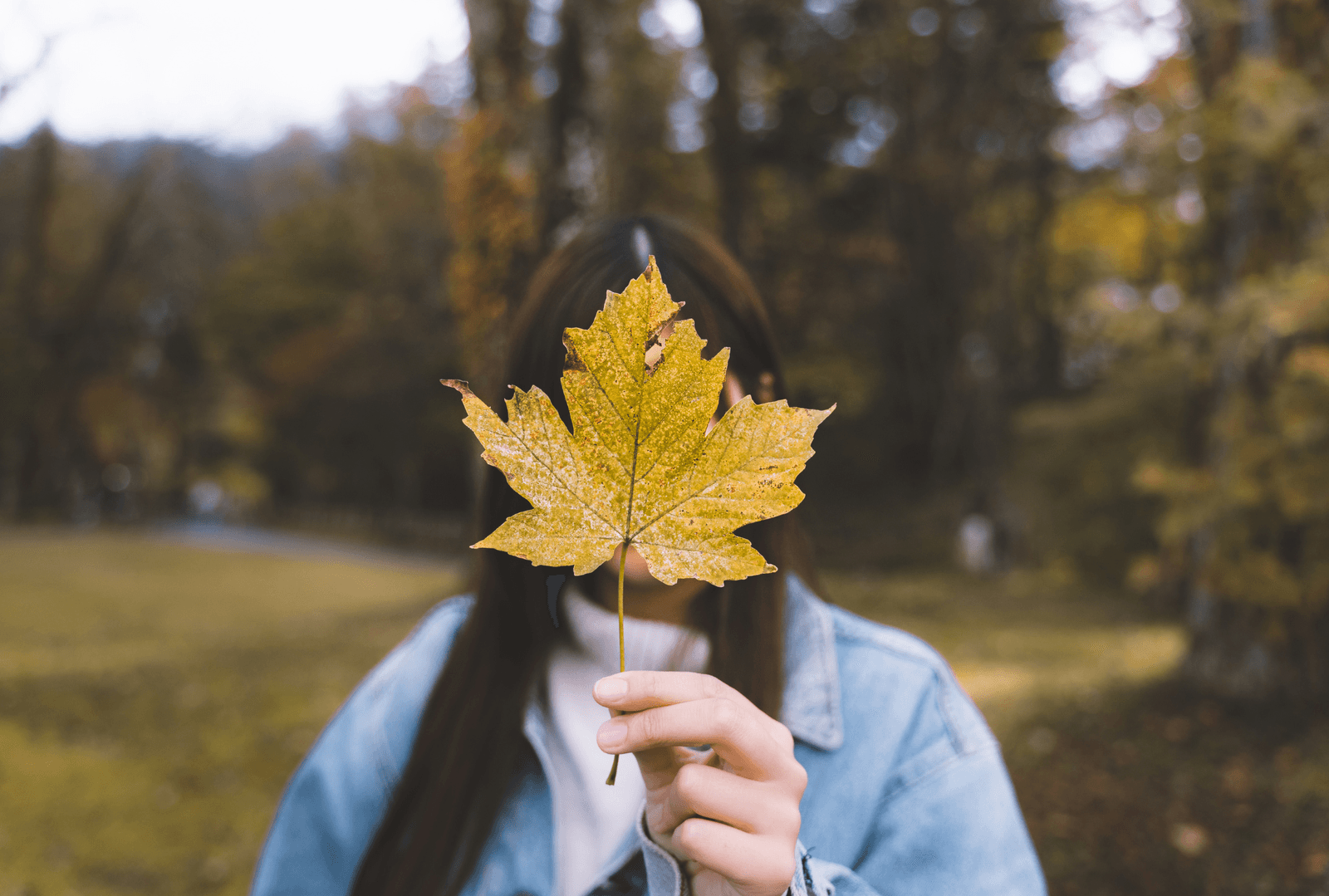 Compassionate Mind Foundation