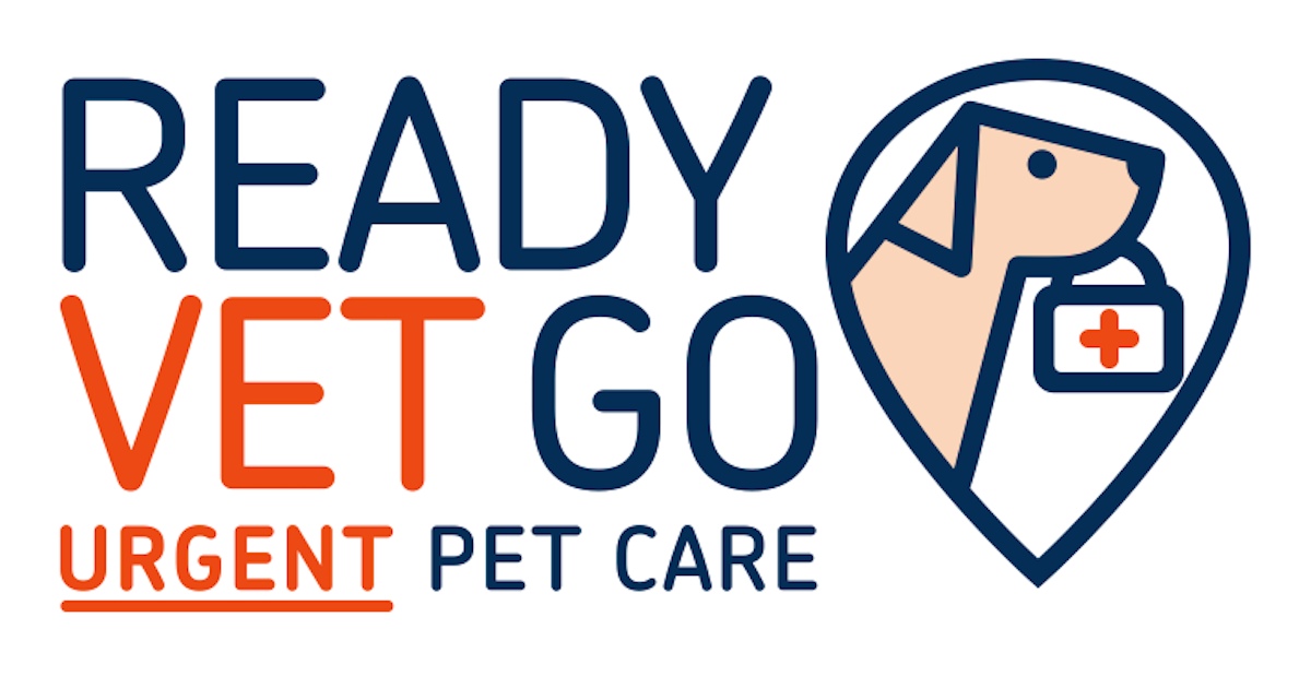 Ready Vet Go | Emergency Vet Ambulance | About Us