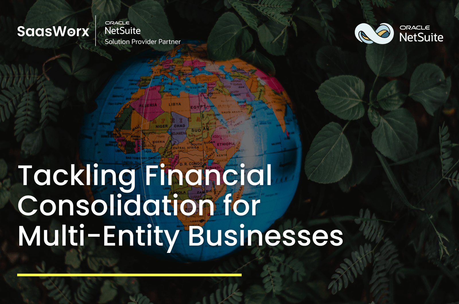 Tackling Financial Consolidation for Multi-Entity Businesses with ...