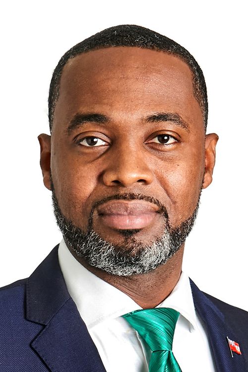 The Honorable E. David Burt, JP MP