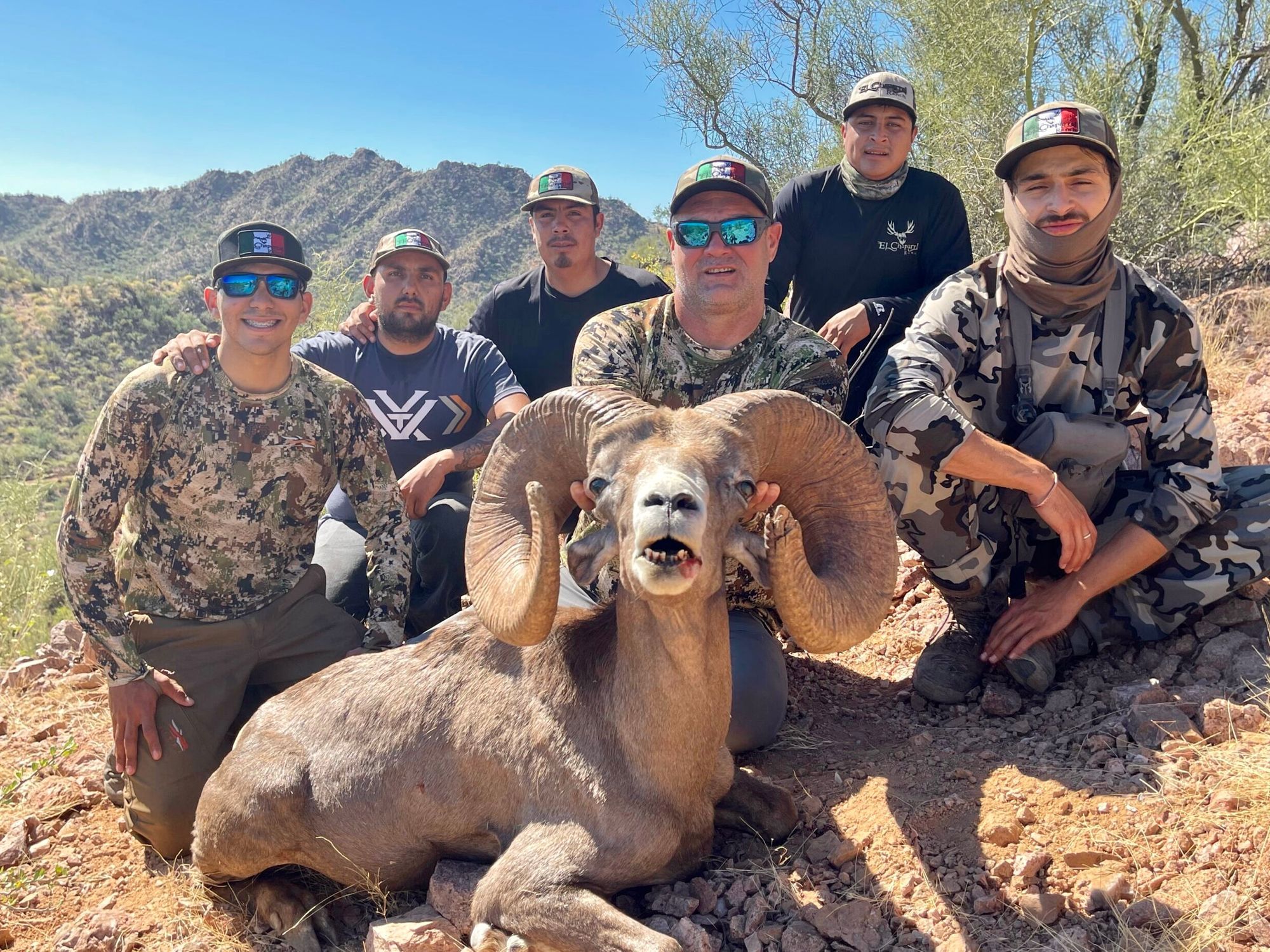 Sheep Hunting - Shoshone Adventures