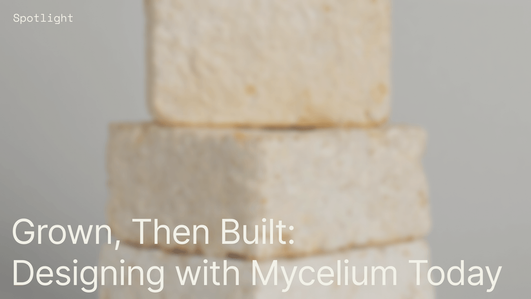 Nature-based Solutions: Top 6 Mycelium Building Materials
