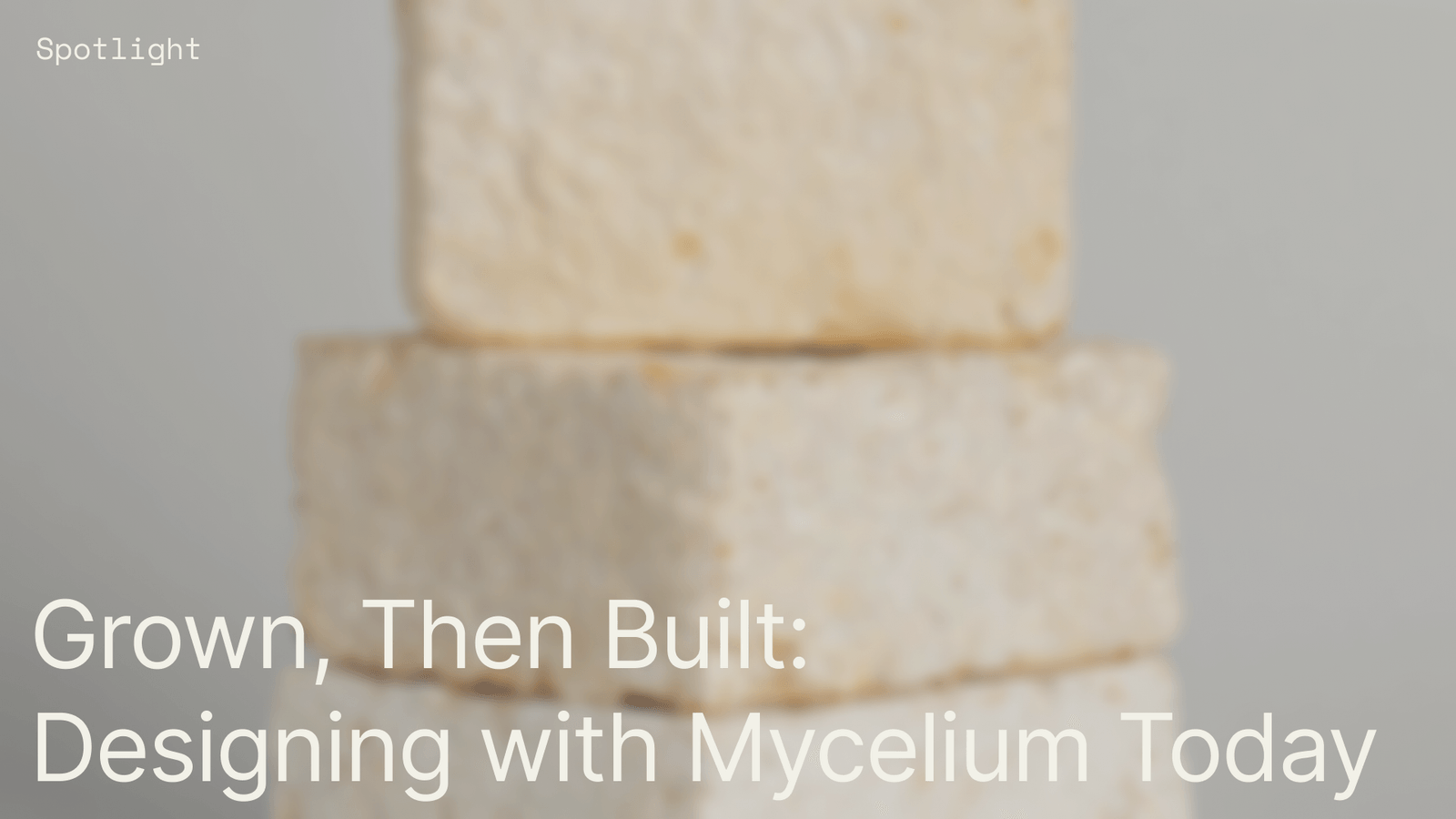 Nature-based Solutions: Top 6 Mycelium Building Materials