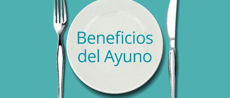 ¿Qué es Paleo? | Definición