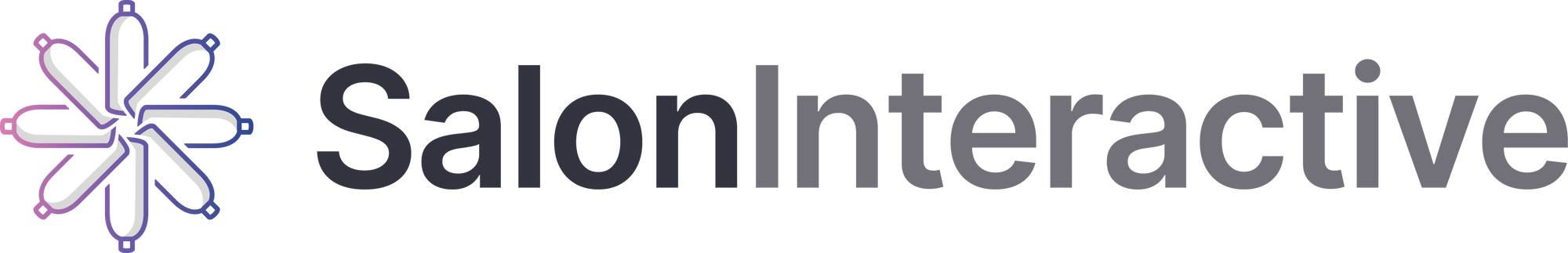 SalonInteractive | About Us