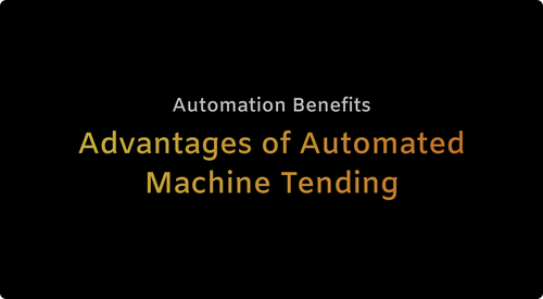 How to program a robot: Easy steps for beginners - Standard Bots