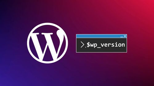 How to Check WordPress Version (10 Visual Ways)