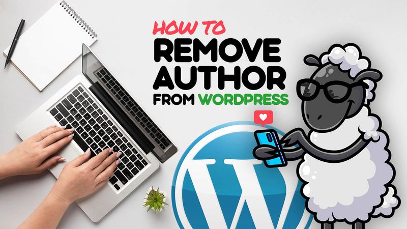 How to Remove Author from WordPress Posts (7 Visual Methods)
