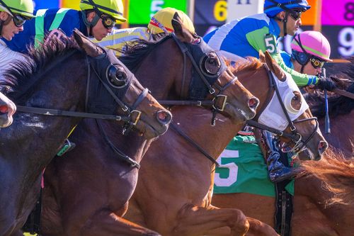 Maryland Thoroughbred Racetrack Operating Authority approves 2025 ...