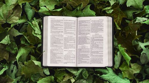 Bibleloop by NorthernLife | NorthernLife Baptist Church