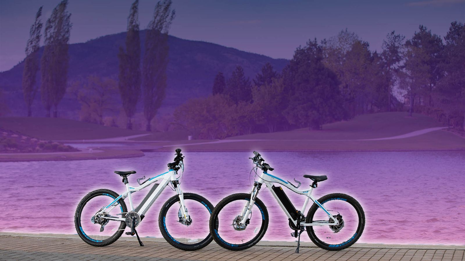 Kelowna Boat Rentals | Kelowna Bike Rentals | Flyboarding & More